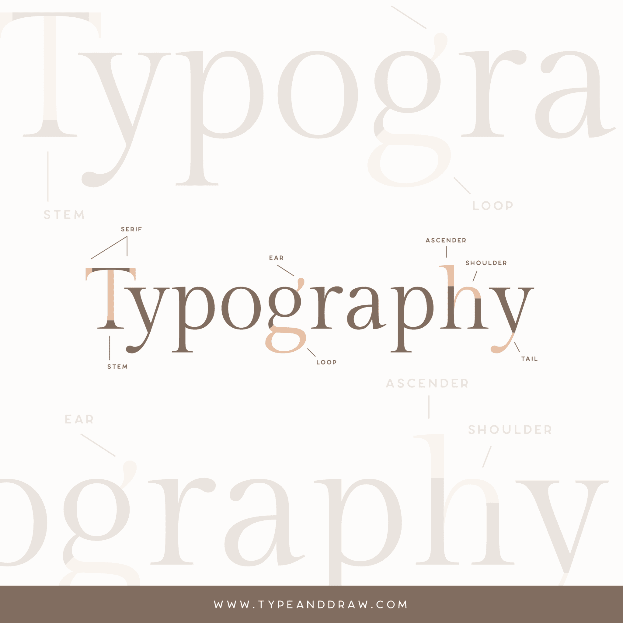 Typography: The Power of Design | Type & Draw Co.